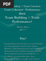 Carron's Model of Team Cohesion Factors | PDF | Leadership | Group ...