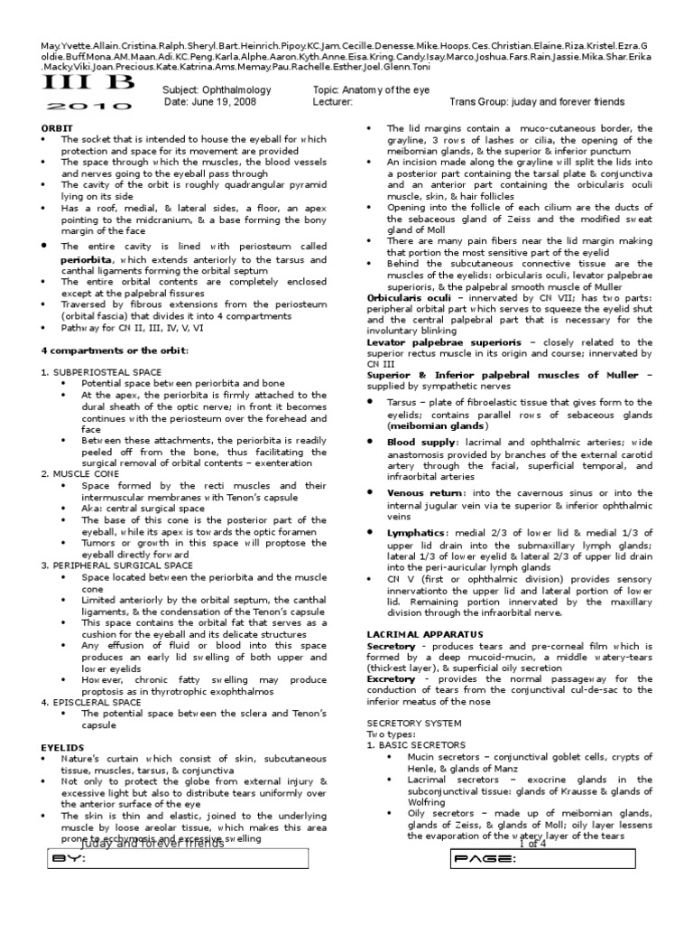 Anatomy of The Eye | PDF | Retina | Visual System