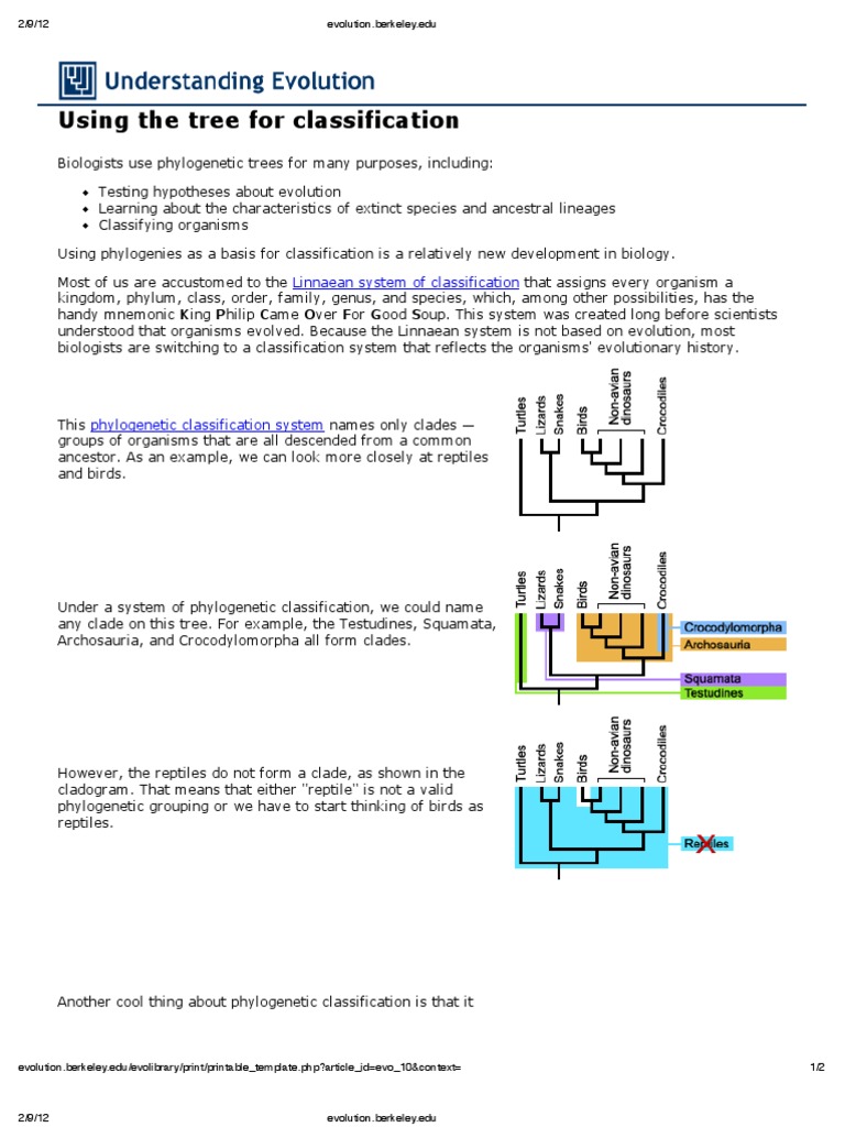 UE - Using The Tree For Classification | PDF | Science & Mathematics