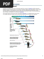 Evidence of Evolution Answer Key | PDF | Anatomy | Organisms