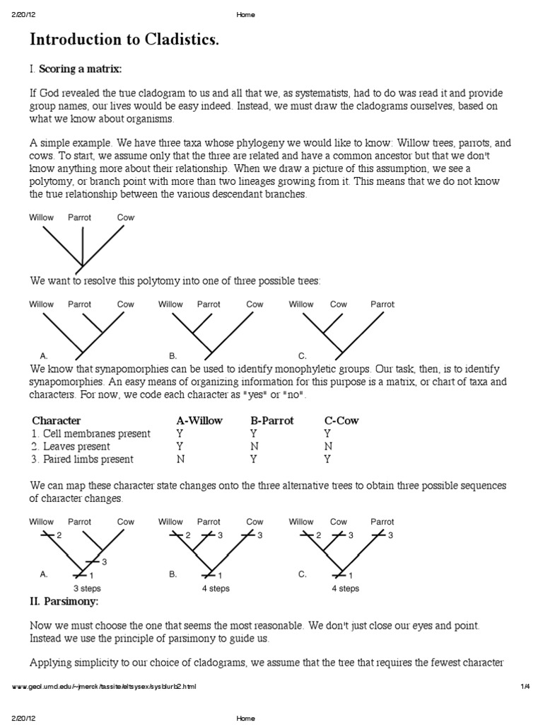 Introduction To Cladistics.: Character A-Willow B-Parrot C-Cow | PDF | Biological Classification ...