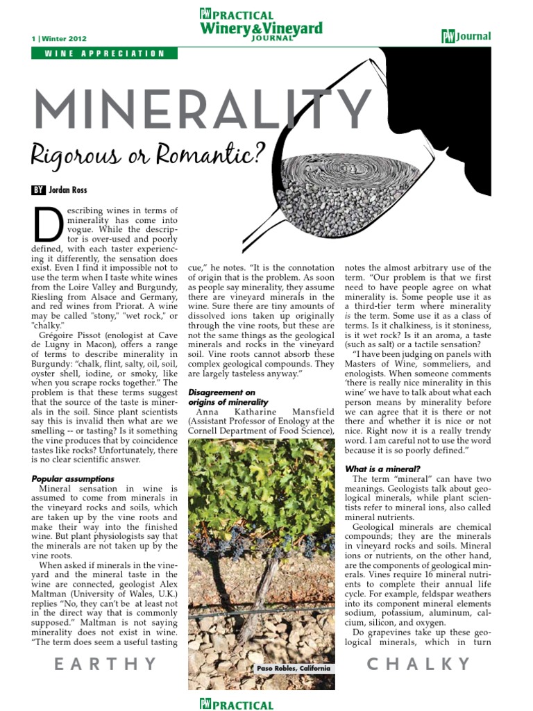 Minerality of Wines | PDF | Wine | Taste