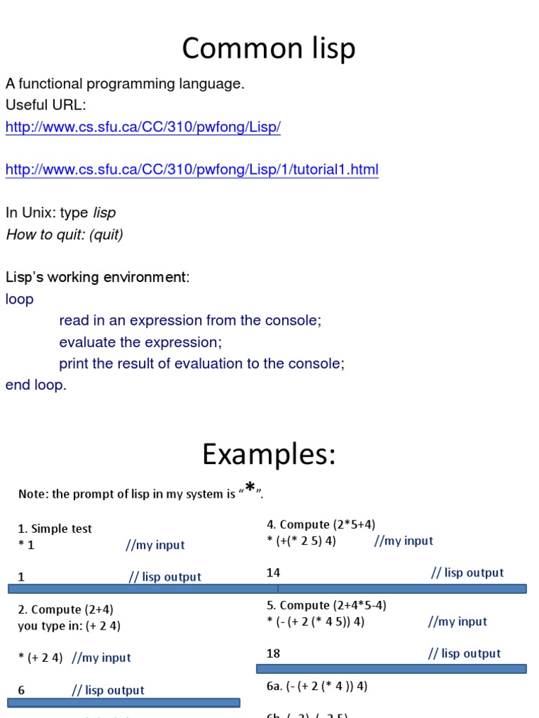 Common Lisp Computer Programming Software Engineering