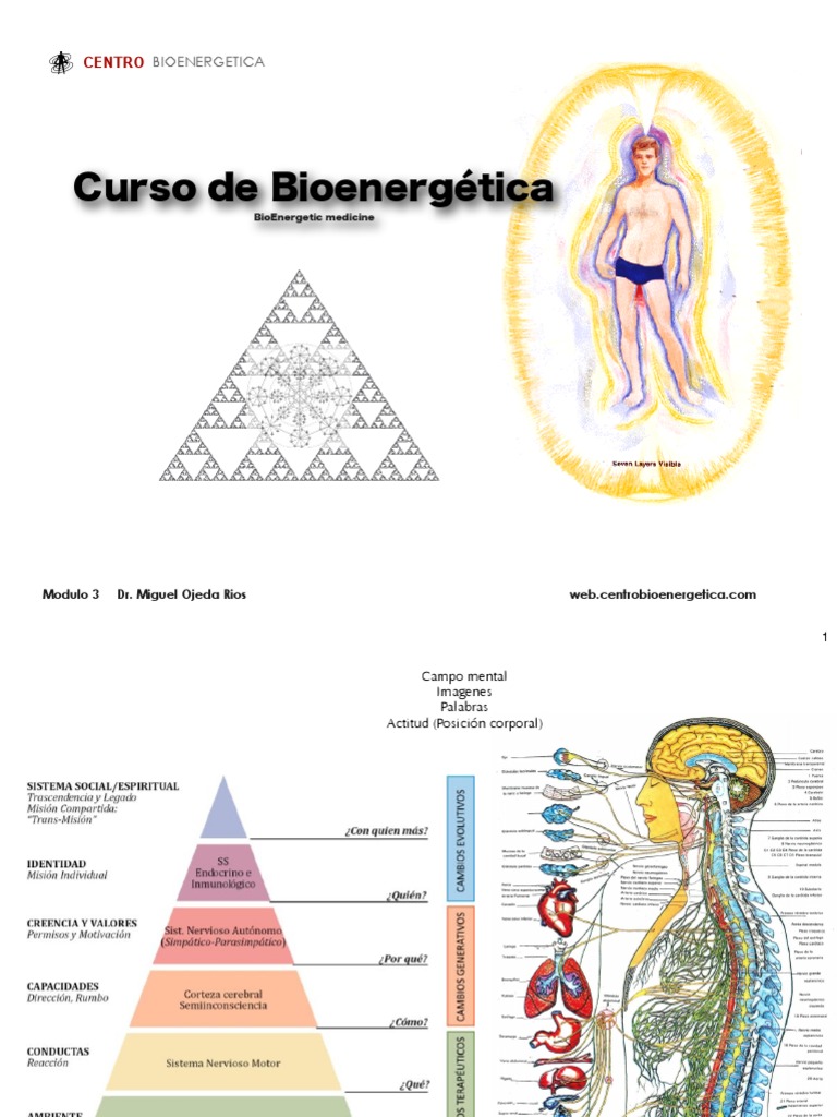 Bioenergtica 3 | Sistema musculoesquelético | Ocio