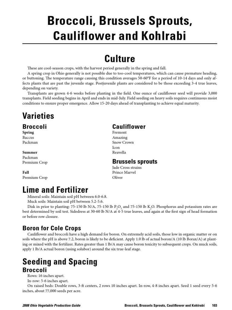Broccoli | PDF | Broccoli | Cabbage