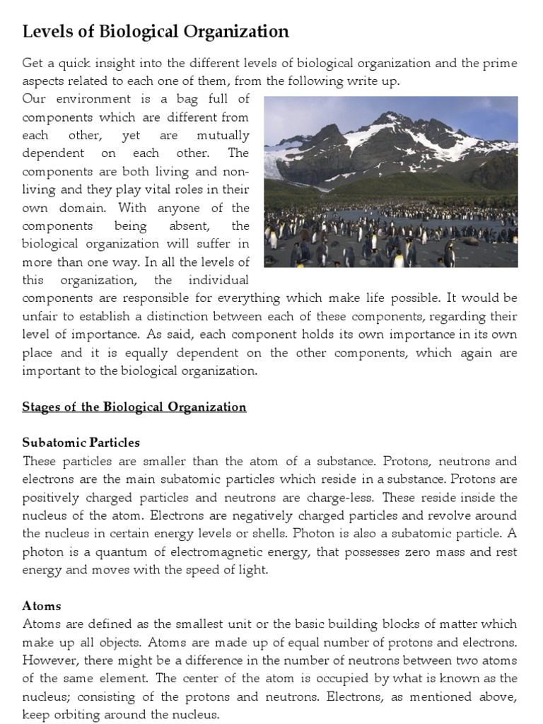 Stages of The Biological Organization Subatomic Particles | PDF