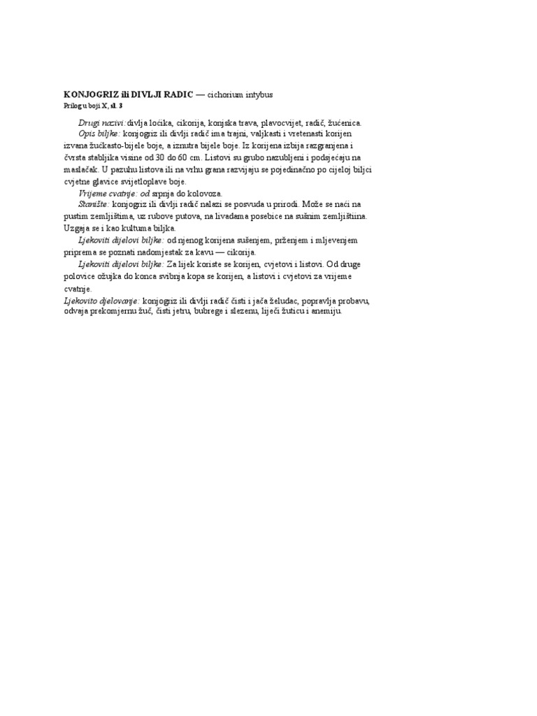 Konjogriz Ili Divlji Radic | PDF