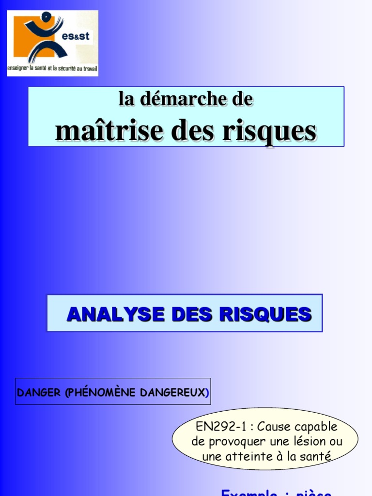 Analyse Des Risques | PDF | Risque | Gestion des risques