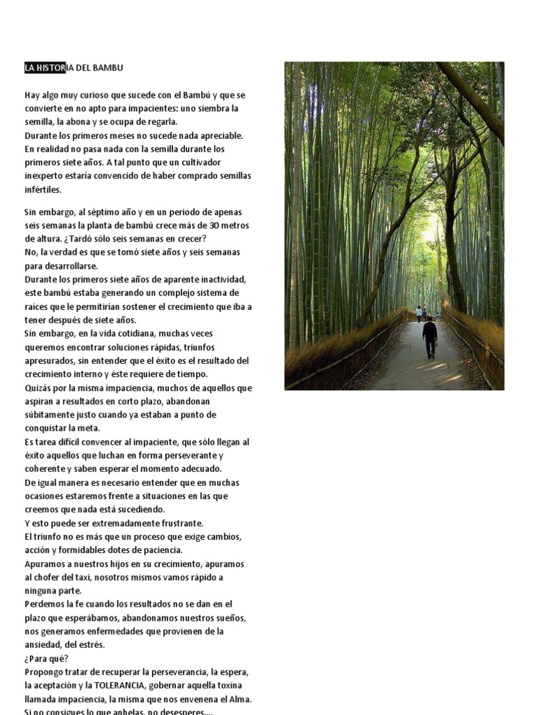La Paciencia y el Crecimiento del Bambú | PDF | Relaciones personales ...