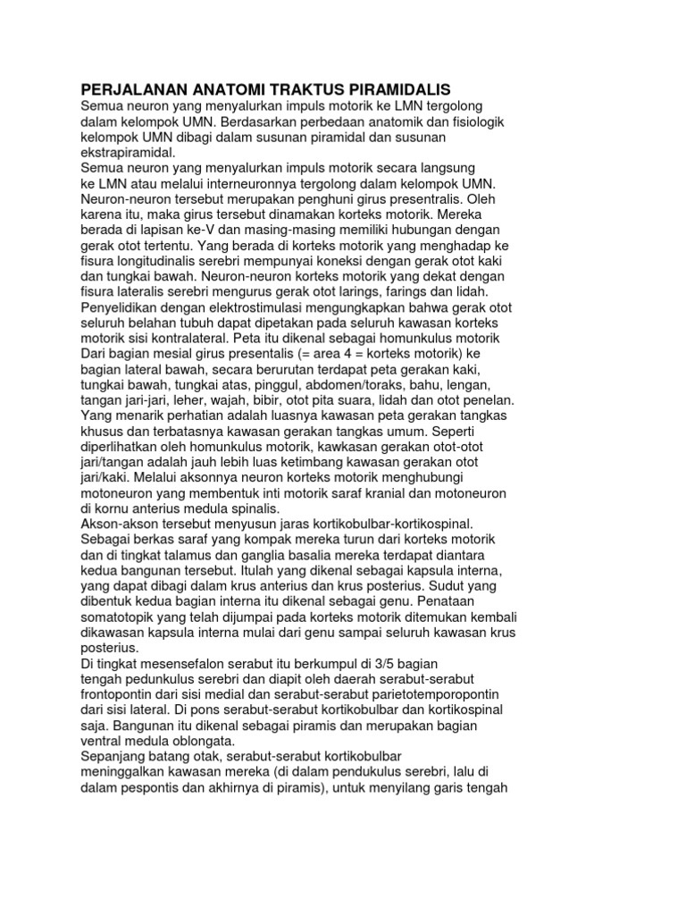 Perjalanan Anatomi Traktus Piramidalis | PDF | Ilmu Sosial