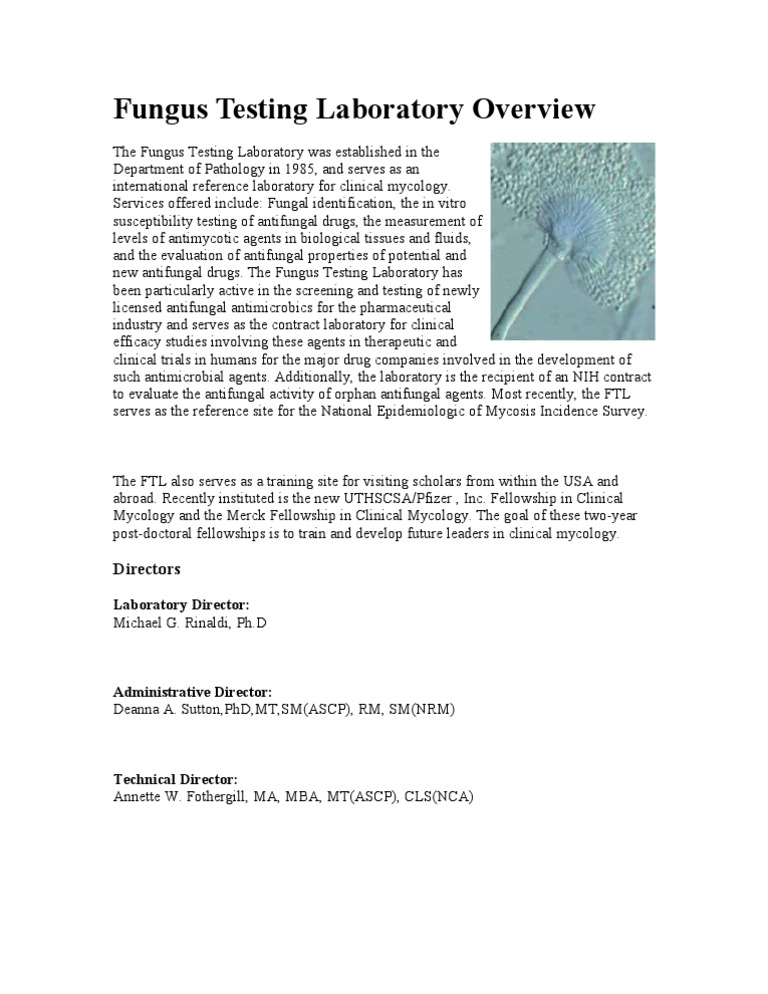 Fungus Testing Laboratory Services Overview | PDF | Science & Mathematics