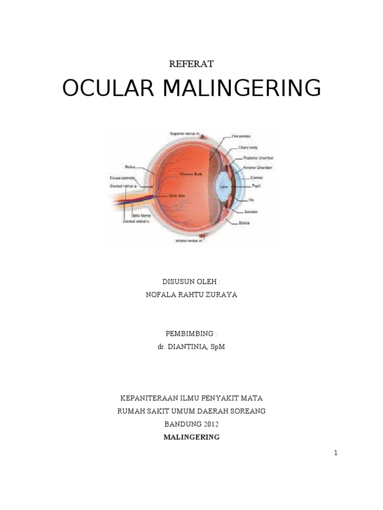 Malingering Test | PDF