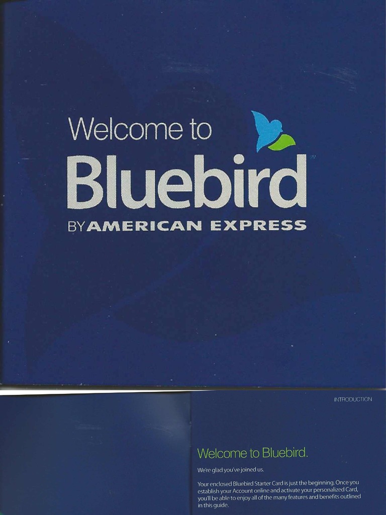 American Express Bluebird Guide | PDF | American Express | Automated ...