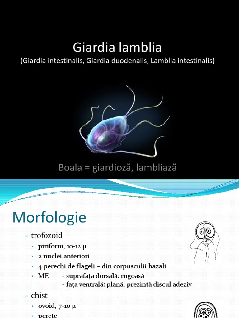 Giardia lamblia: Boala = giardioză, lambliază