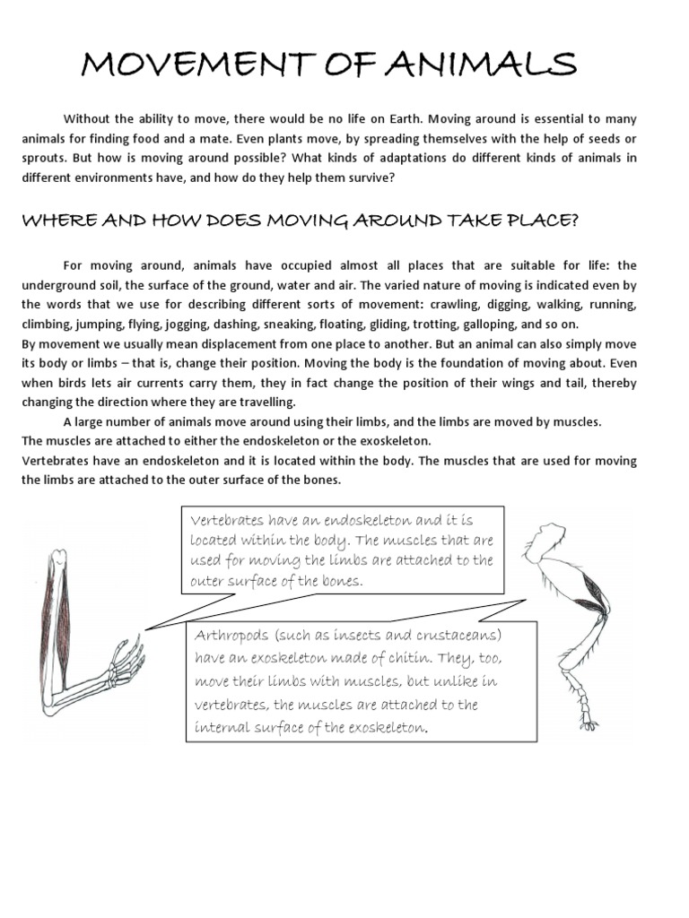 Animal Movements | PDF | Nature