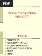 Butler Neural Mobilization | PDF | Nervous System | Nerve