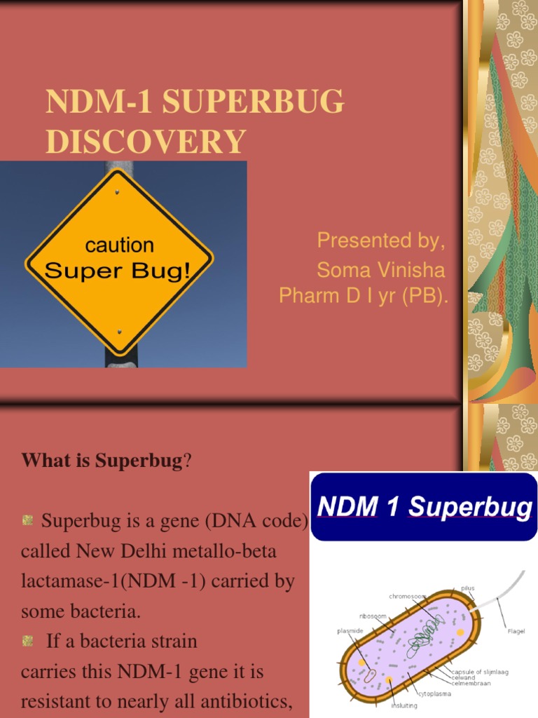 NDM 1 Superbug | PDF | Antimicrobial Resistance | Antibiotics
