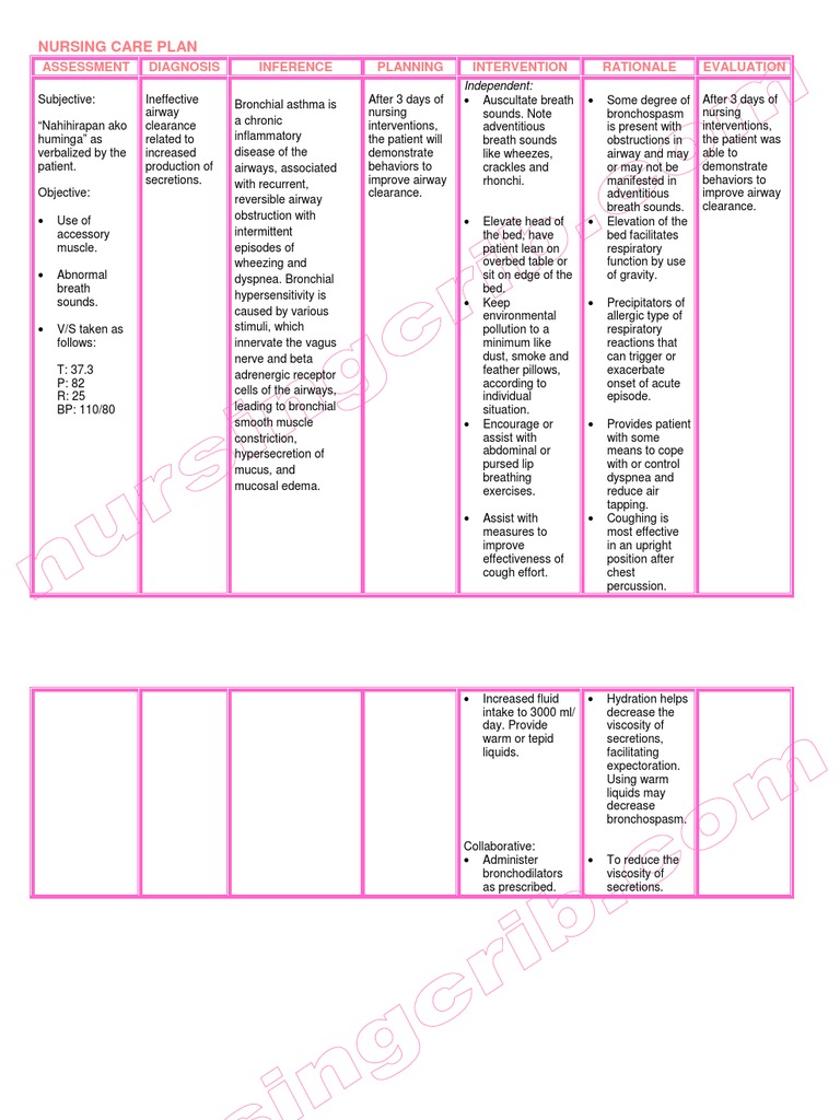 Nursing Care Plan Bronchial Asthma | PDF | Asthma | Respiratory Tract