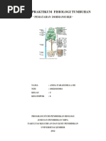 Dasar Teori Imbibisi | PDF