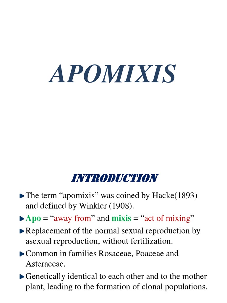 Apomixis | PDF | Reproduction | Biological Interactions