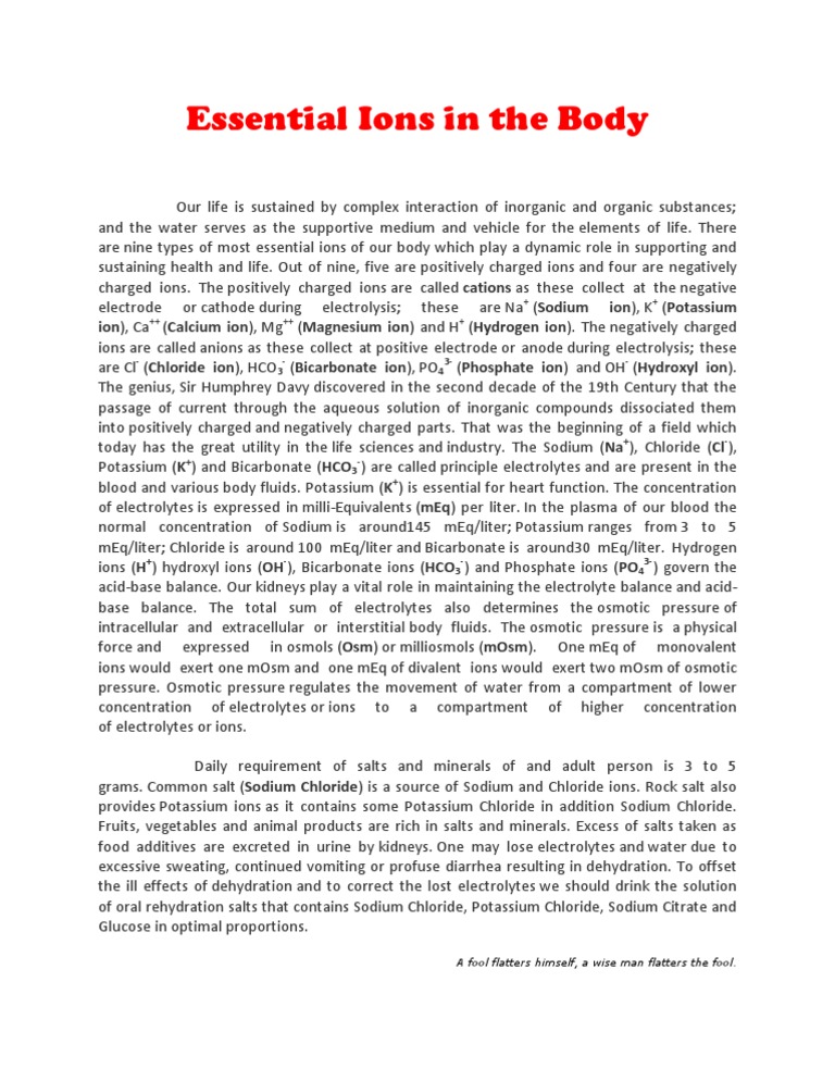 Essential Ions in The Body | PDF | Electrolyte | Ion