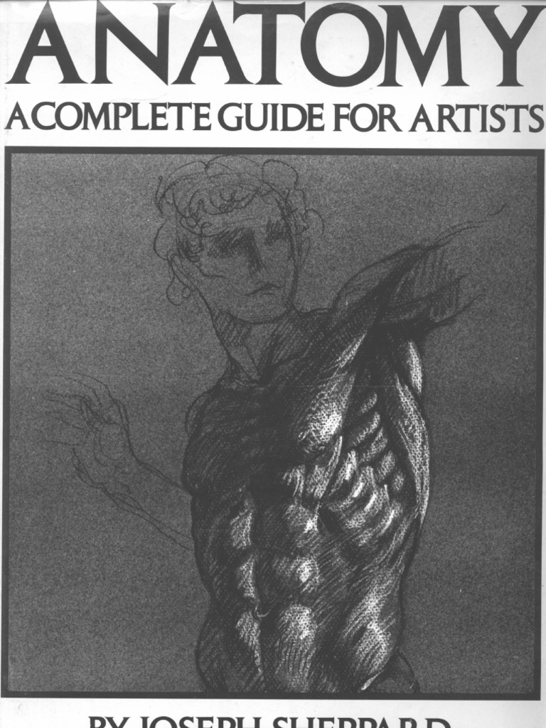 Drawing) Anatomy | PDF