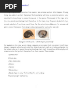 Boggle Example Package 1 | PDF | Career & Growth