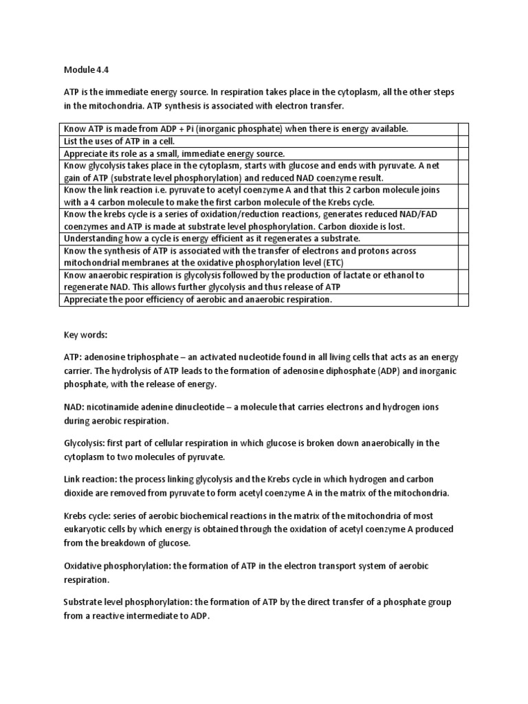 Biology Unit 4 Module 4.4 Respiration Revision | PDF | Cellular ...