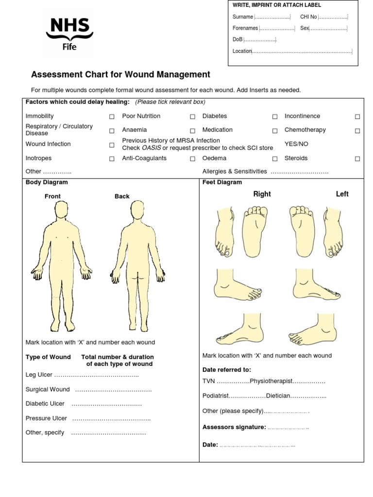 Wound Chart Template