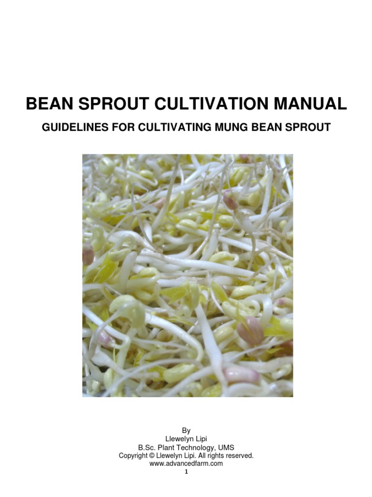 Bean Sprout Cultivation Manual - Ed1 - Book | PDF | Bean | Agronomy