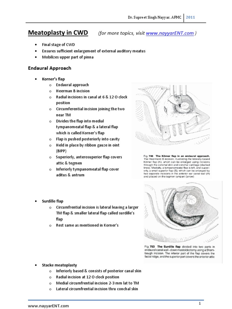 Meatoplasty in CWD PDF | PDF | Anatomical Terms Of Location | Ear