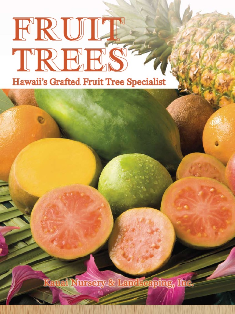 Comprehensive Guide to Fruit Trees | PDF | Citrus | Orange (Fruit)