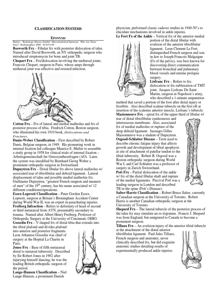 019 Foot and Ankle Classifications | PDF | Ankle | Foot