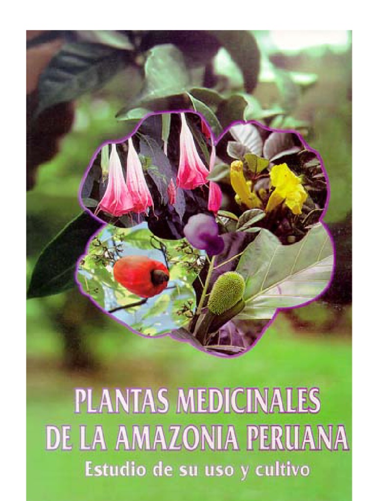 Plantas Medicinales de La Amazonía Peruana | PDF