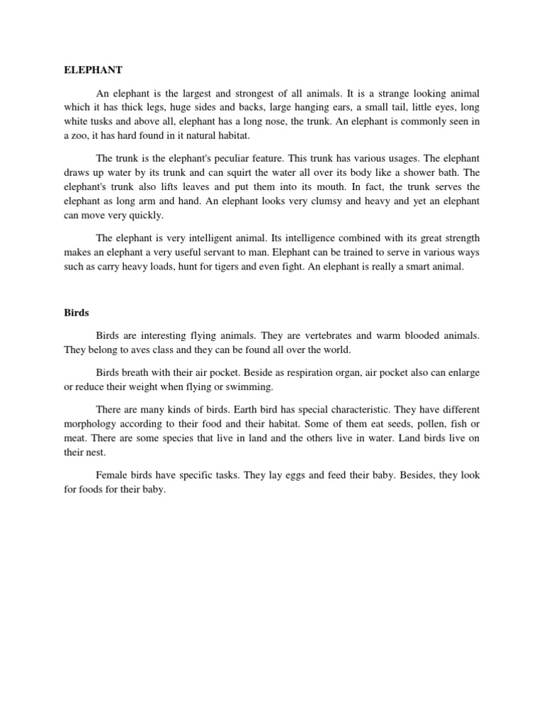 Examples of Report Texts | PDF | Elephant | Birds