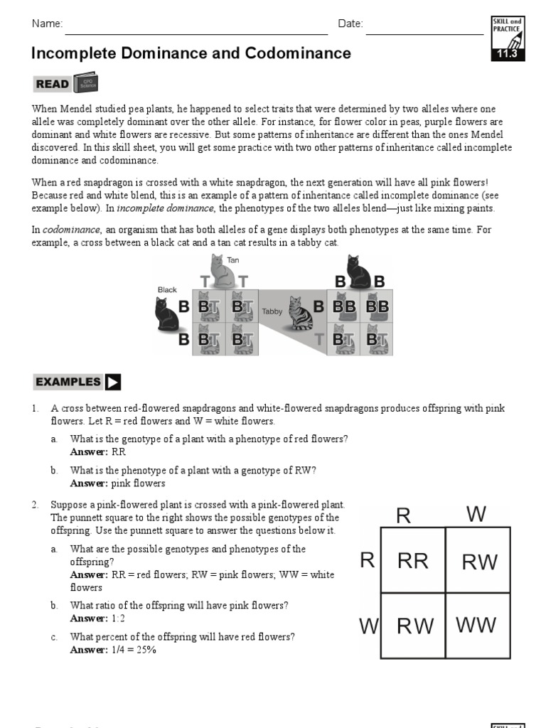Cod | PDF | Dominance (Genetics) | Genotype