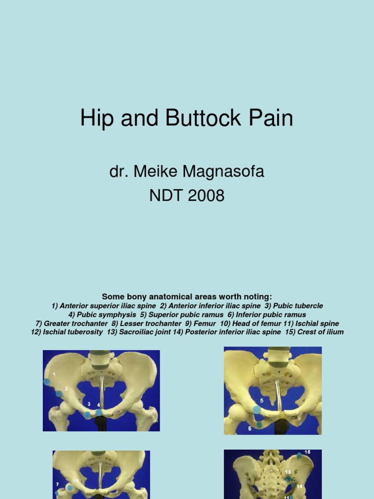 Hip and Buttock Pain | PDF | Hip | Pelvis