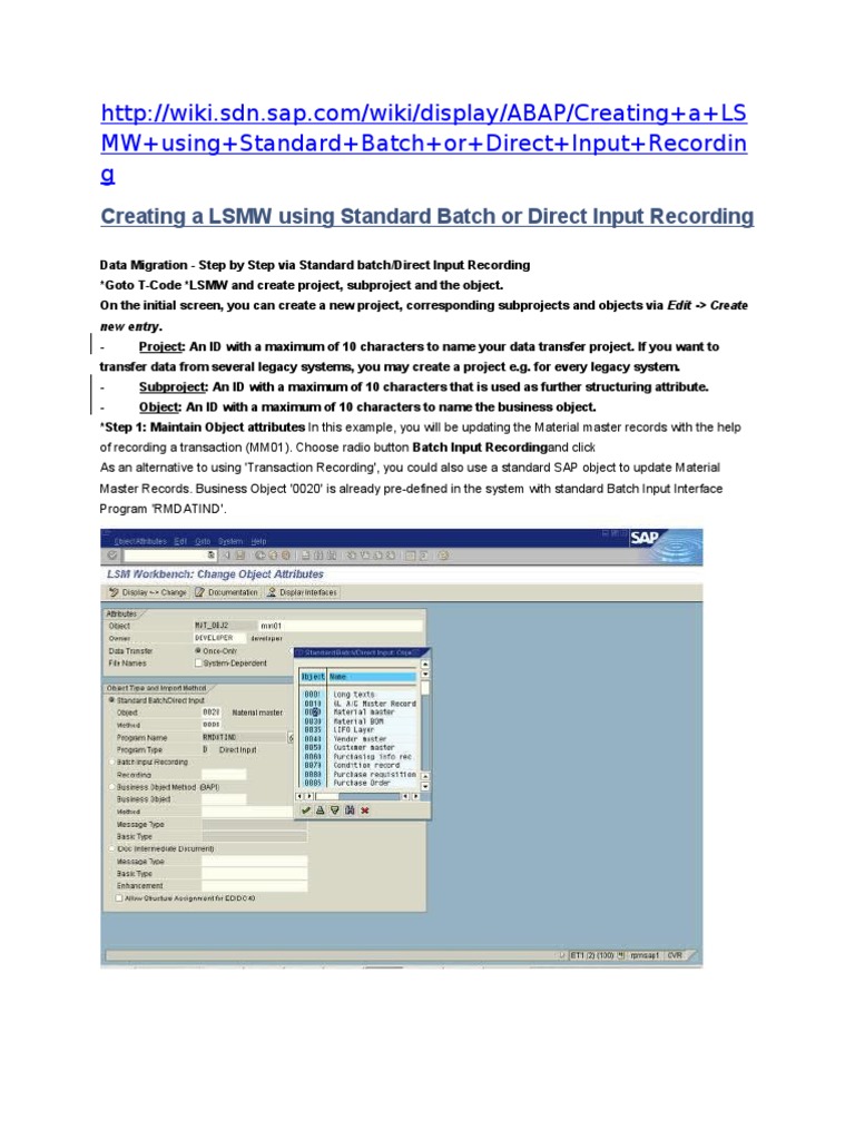 Creating A LSMW Using Standard Batch or Direct Input Recording | PDF | Business | Computers