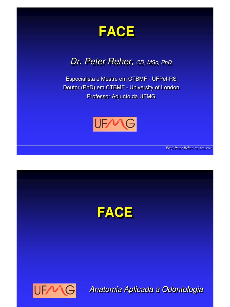 Anatomia Da Face | PDF | Anatomia humana | Cabeça e pescoço humano