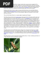 Keel Billed Toucan | PDF | Birds | Ornithology