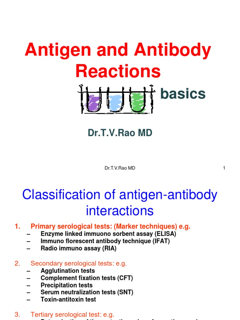 Antigen-Antibody Reaction Types | PDF | Antibody | Gel Electrophoresis