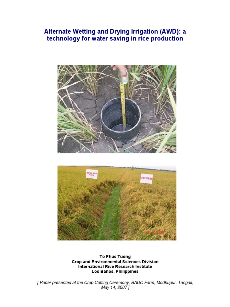AWD Technology | PDF | Irrigation | Rice