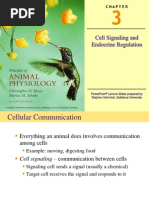 CH 11 PPT Cell Communication | PDF | Cell Signaling | Signal Transduction