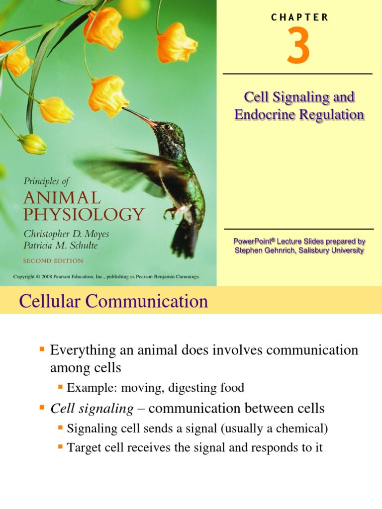 Chapter 3 - Cell Signaling and Endocrine Regulation | PDF | Cell ...