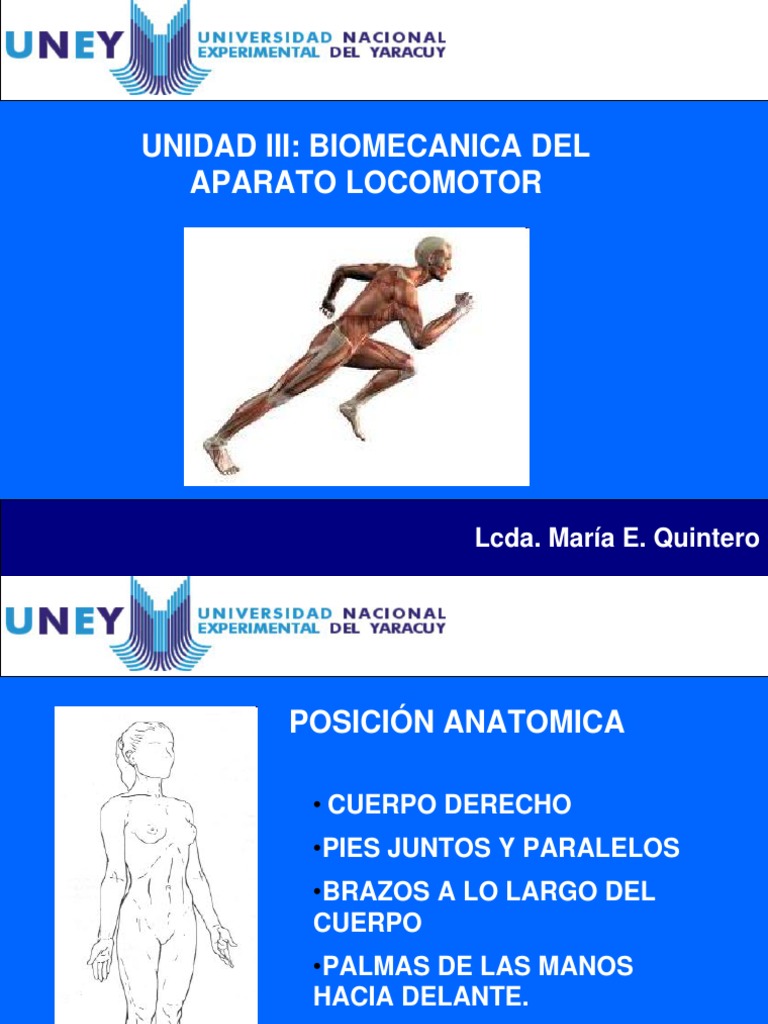 Ejes, Planos y Movimientos Corporales | PDF | Codo | Mano