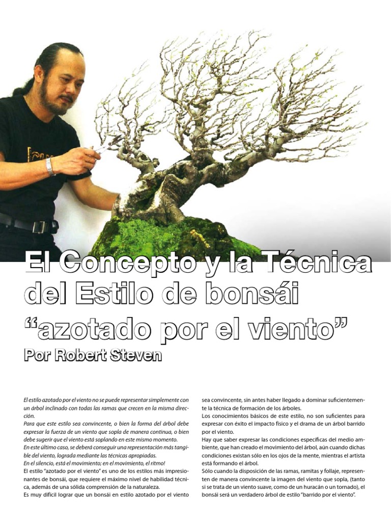 Bonsai Azotado Por El Viento | PDF | Velocidad del viento | Bonsai