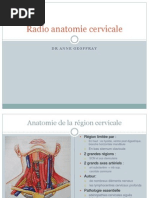 Anatomie du Cavum et Son Exploration | PDF | Tête et cou chez l'humain ...