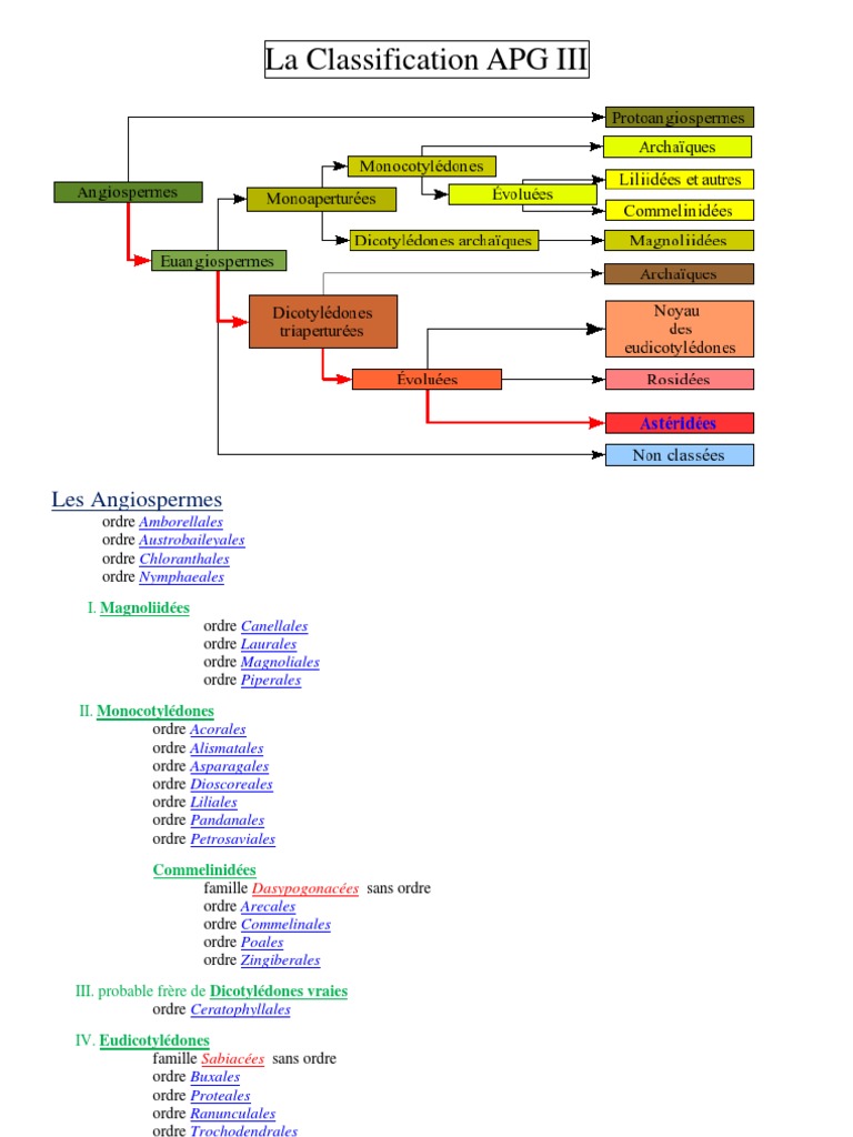 Classification APG des Angiospermes | PDF | Taxonomie des plantes ...