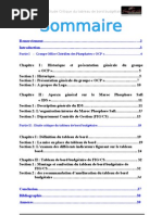Organigramme Ocp Nouveau | PDF | Maroc | Business