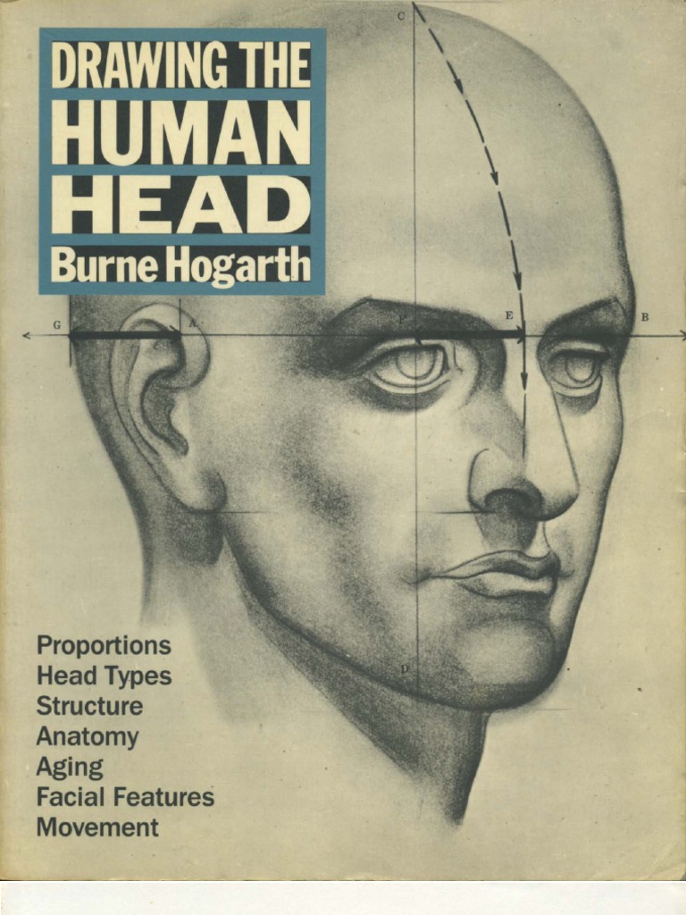 Drawing The Human Head. | PDF | Face | Human Head And Neck
